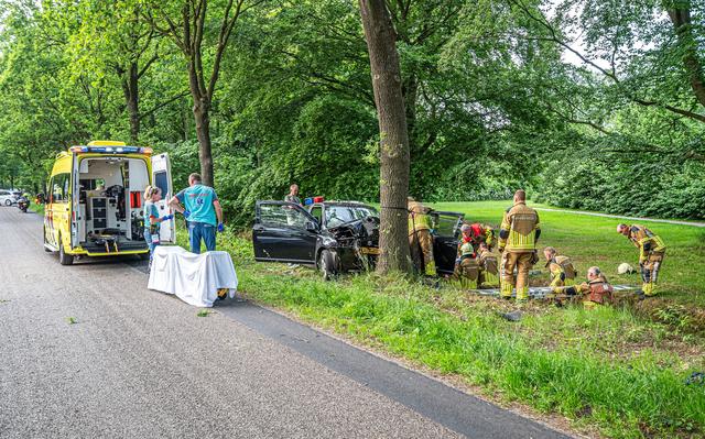 Een eeuw autogeschiedenis komt tot leven bij de open dagen van ...