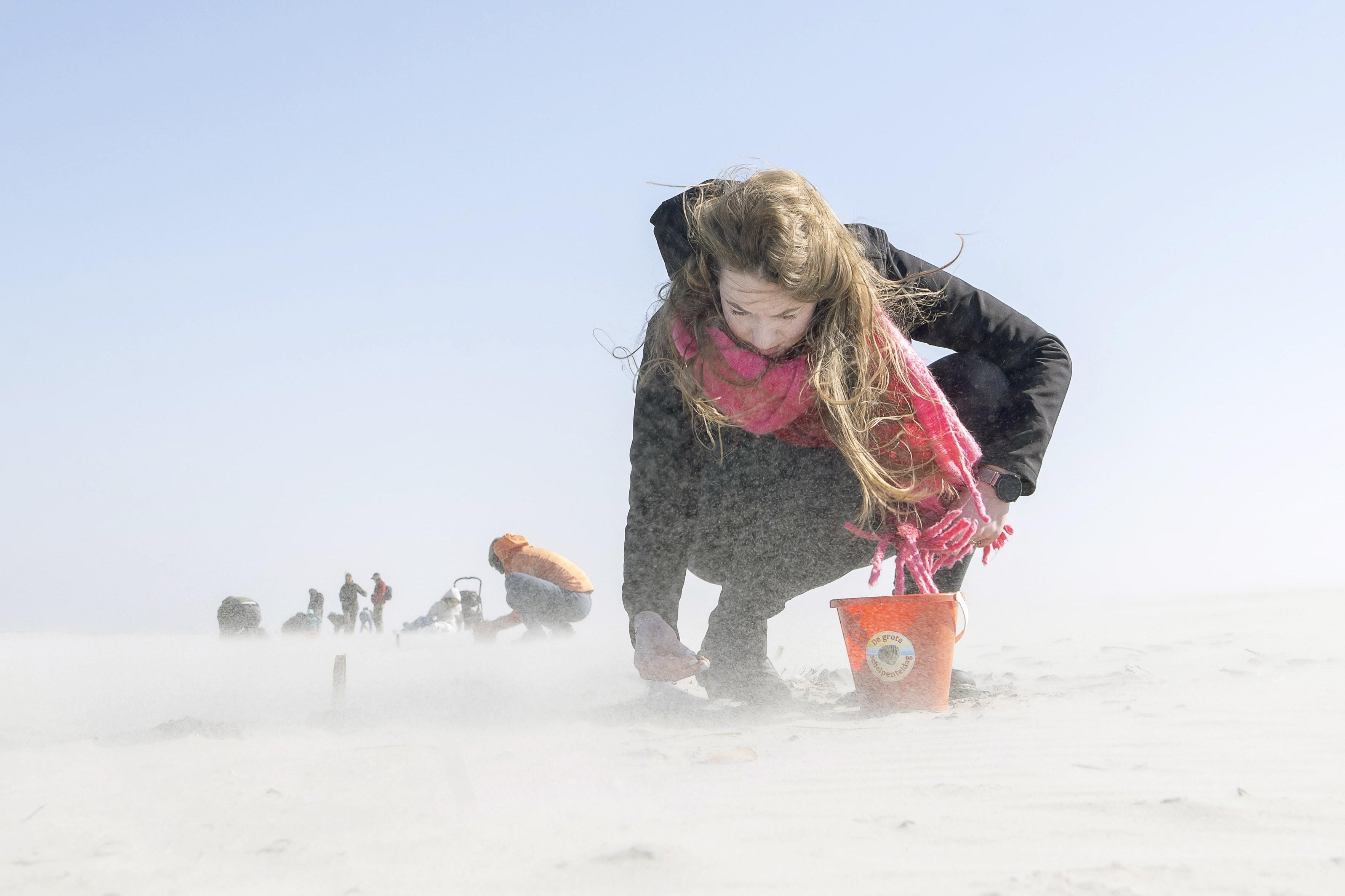 Schelpenteldag. Op Schiermonnikoog schelpjes tellen voor de wetenschap ...