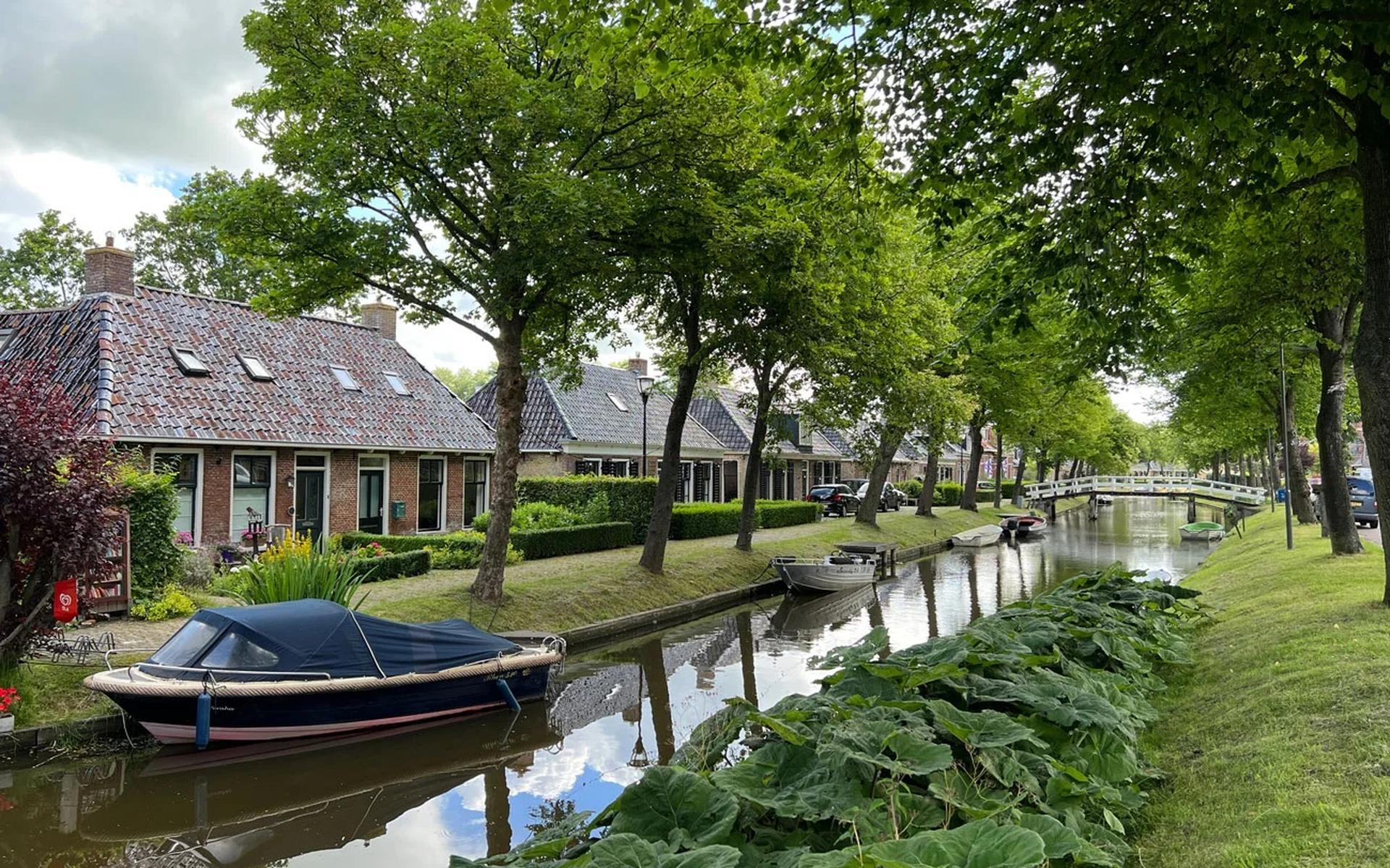Opeens blijken er geen 16, maar 873 monumentale bomen in Waadhoeke te ...