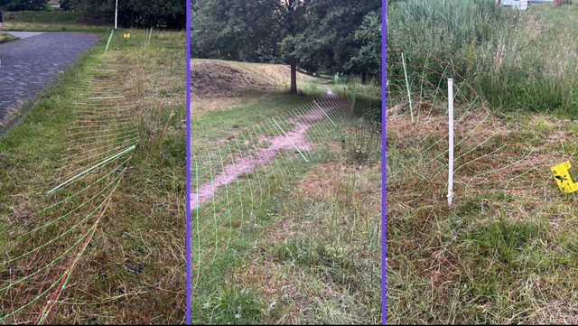 Vernielingen bij schaapskuddes in Heerenveen, mogelijk na oproep via ...