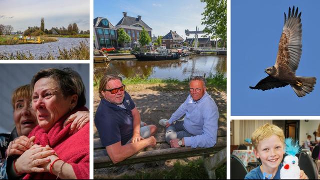 Twee personen aangehouden voor leegroven nesten bruine kiekendieven ...