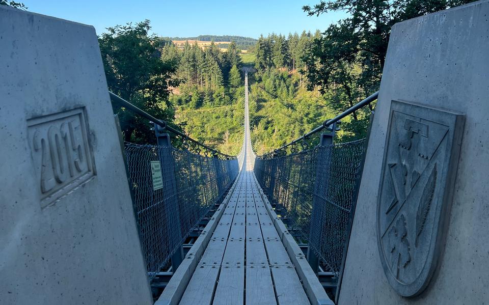 Wandelen over de spectaculaire hangbrug bij Mörsdorf en door Cochem en ...
