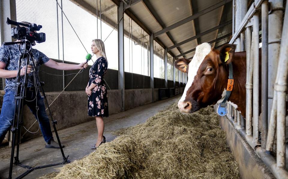 MOB-jurist Valentijn Wösten: "Ziehier het resultaat van het politieke werk van Femke Wiersma."